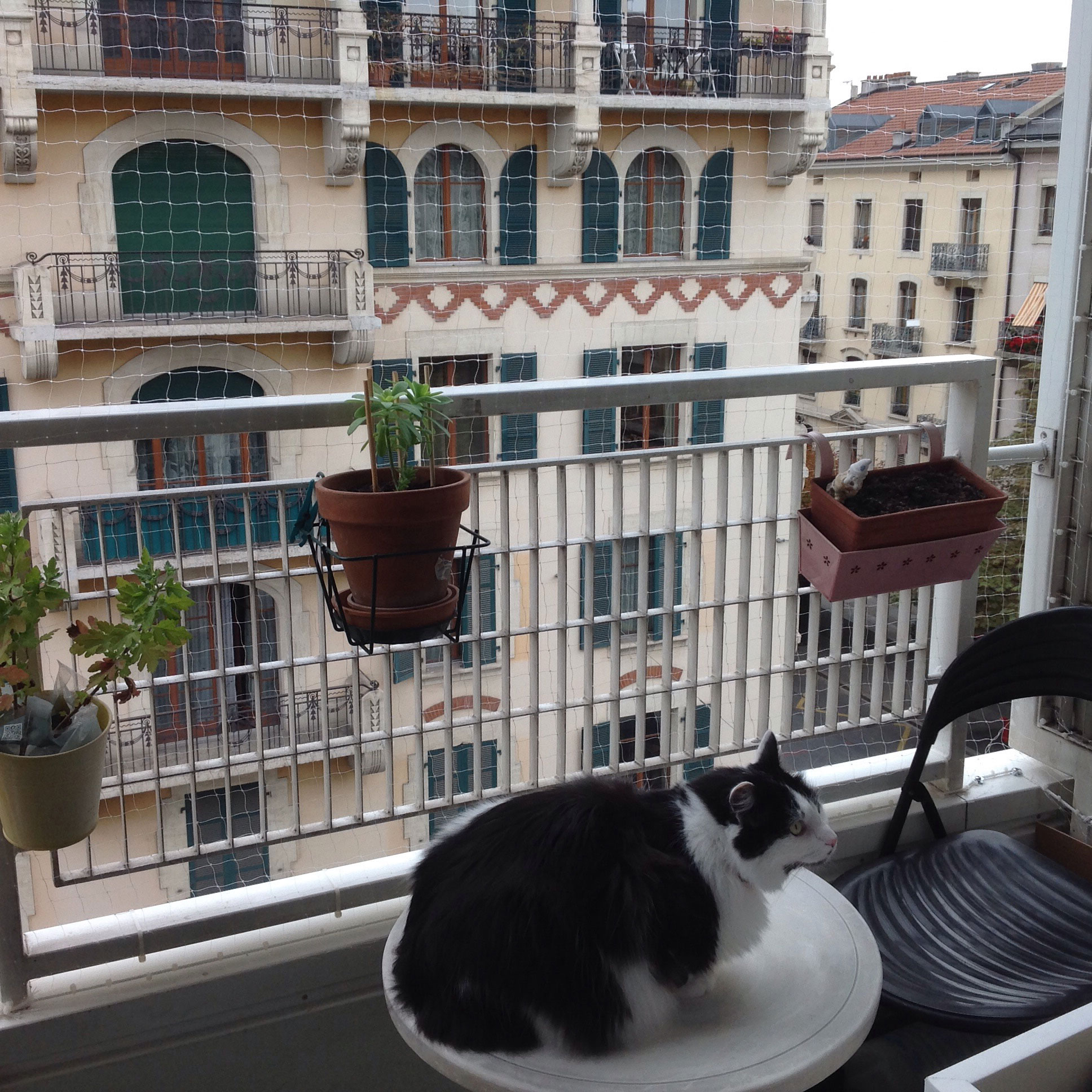 Filets transparents | Kit et Cadre